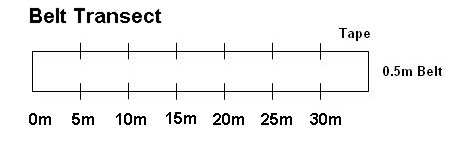 Testing Hypotheses about Herbivore Responses to Plant Vigor and ...